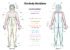 Acupressure for Sleep: 5 Pressure Points to Know – Everybody in Mind