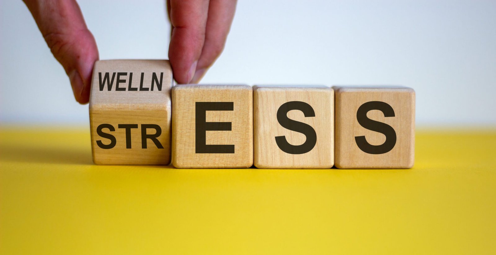 Quick Beginner’s Guide to Stress Management – Everybody in Mind